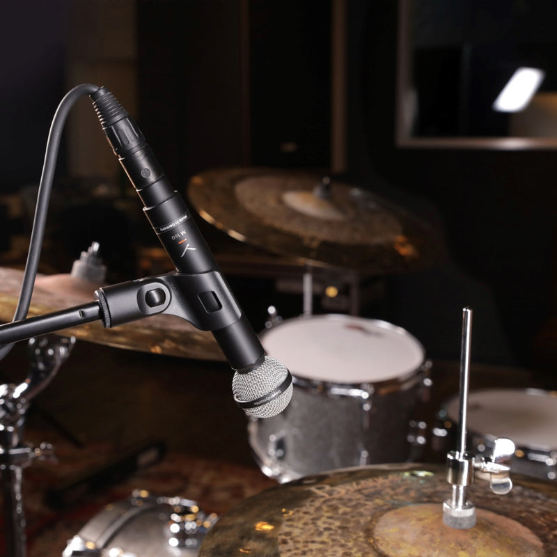 M 160 - A Double-Ribbon Microphone that stands alone – beyerdynamic ...